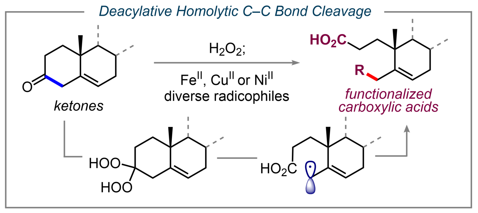 Research – The Kwon Lab