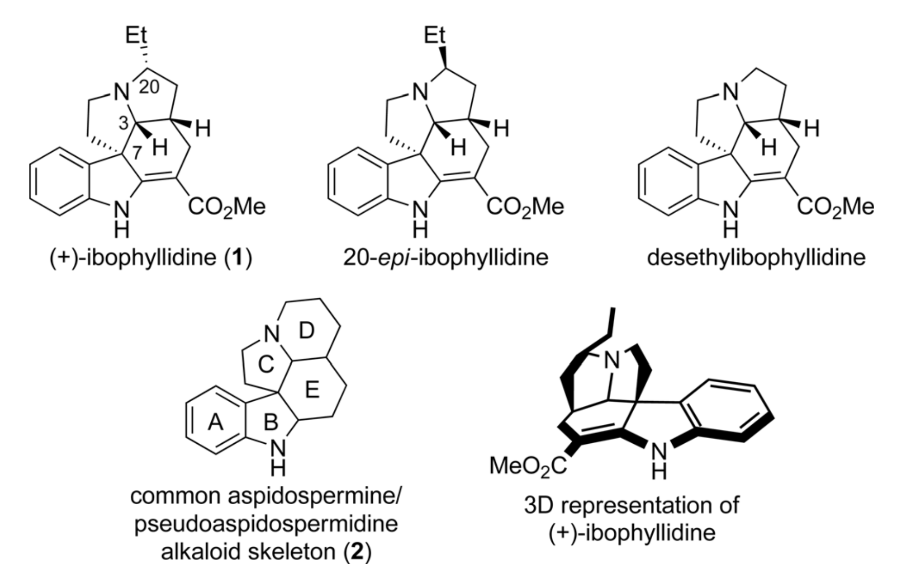 Research – The Kwon Lab
