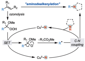 Publications – The Kwon Lab