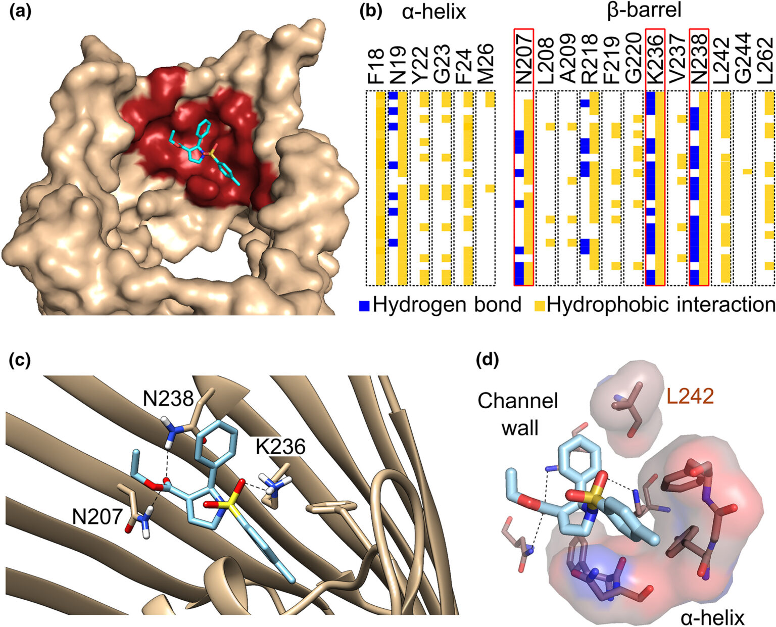 Publications – The Kwon Lab