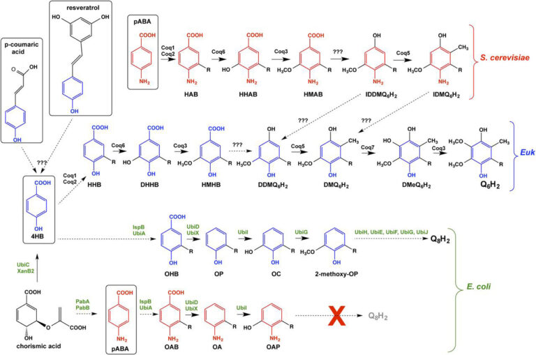 Publications – The Kwon Lab