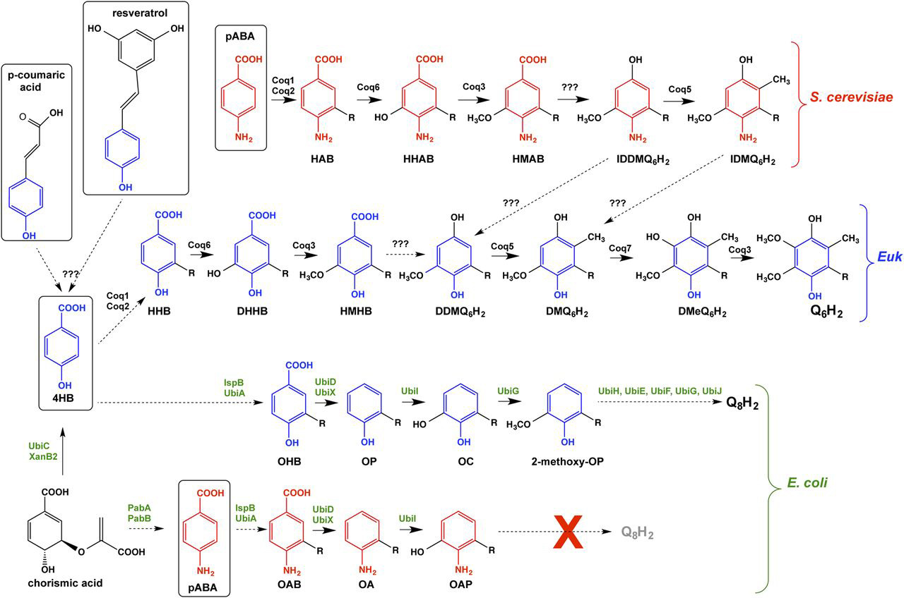 Publications – The Kwon Lab