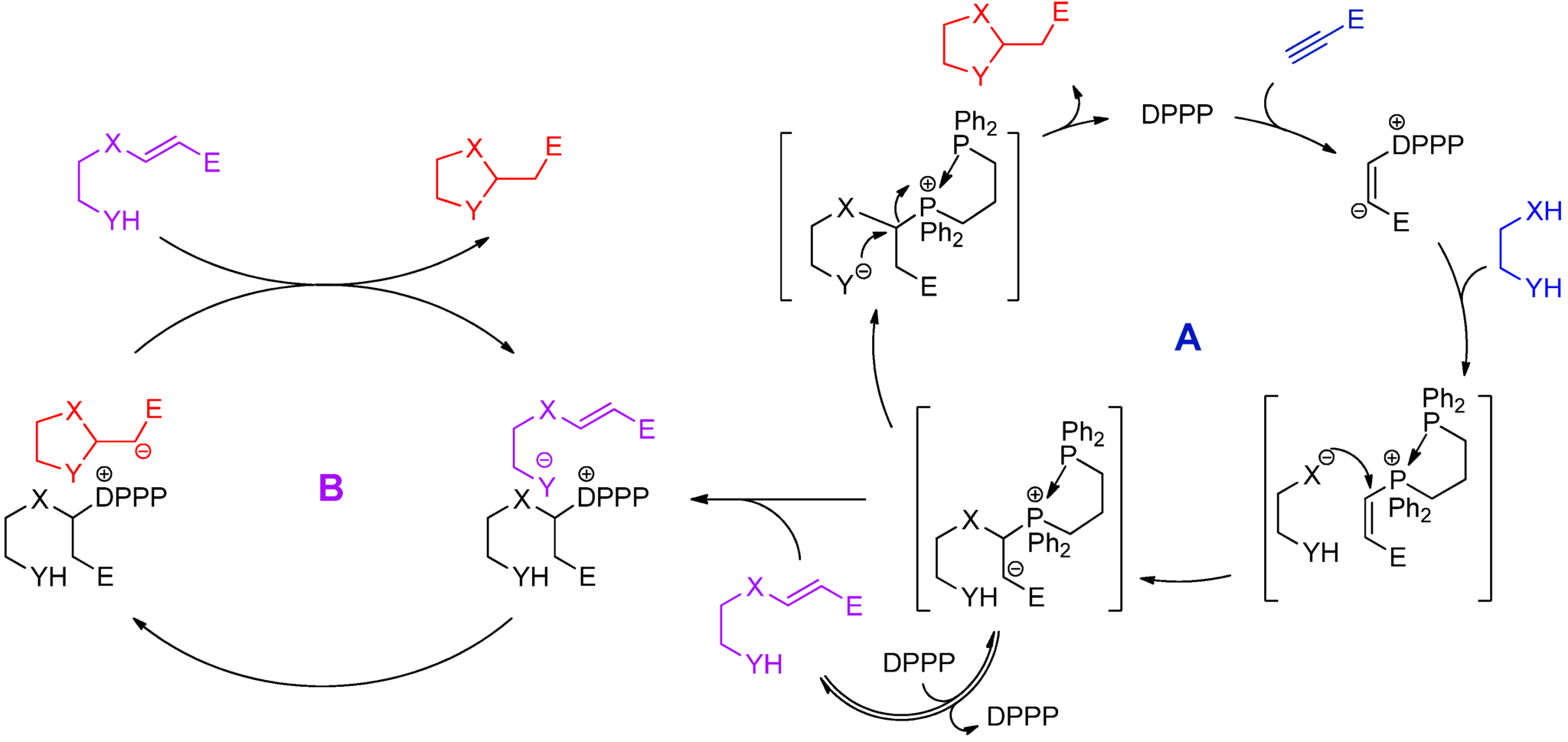 Publications – The Kwon Lab